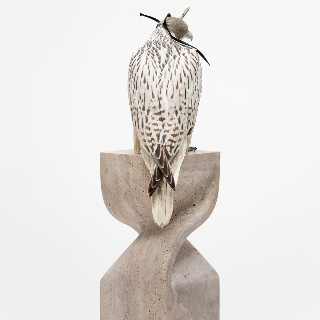 WAKER (FALCON PERCH) – hajardesigns